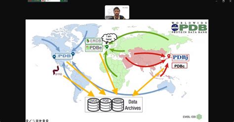 Structuralbiology Drugdiscovery Pdbe Pdb Bioinformatics Embl Noushin Tabashum