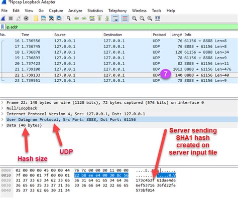 Udp Socket Programming