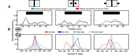 Relative Gaze Direction And Retinal Position Of The Bar A Final Download Scientific Diagram