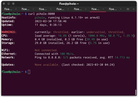 GitHub Floe Nanosysinfo Lightweight Remote System Monitor Script Geared Towards RasPi