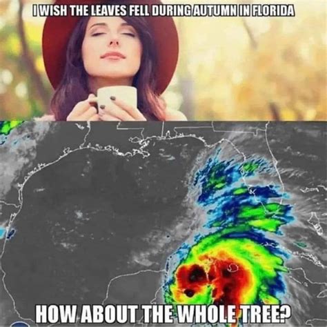 Funny Florida Hurricane Memes For 2023