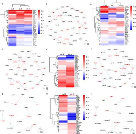 cell type cluster based differential gene expression gene gene
