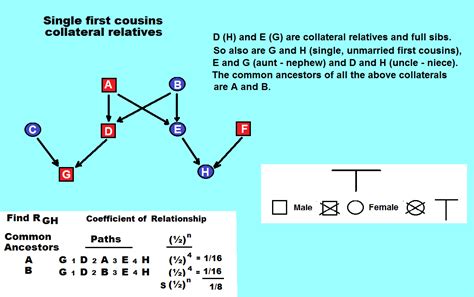 SexualReligion 156 Coefficient Of Relationship C O R