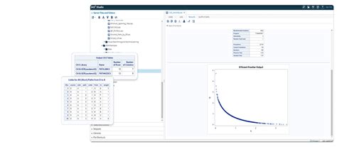 Sas Optimization Sas