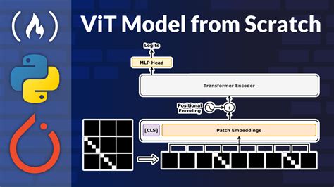 Build Your Own ViT Model From Scratch DevStackTips