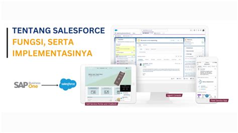 Tentang Salesforce Fungsi Serta Implementasinya Sap Business One