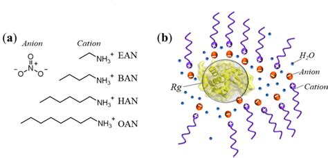 Figure 1 From Protic Ionic Liquid Cation Alkyl Chain Length Effect On