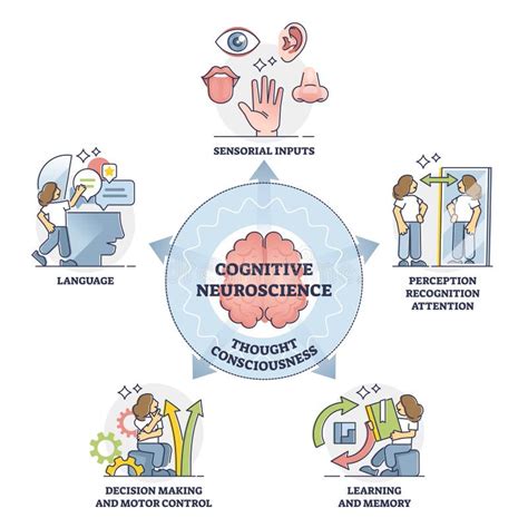 Cognitive Process Diagram Stock Illustrations 445 Cognitive Process