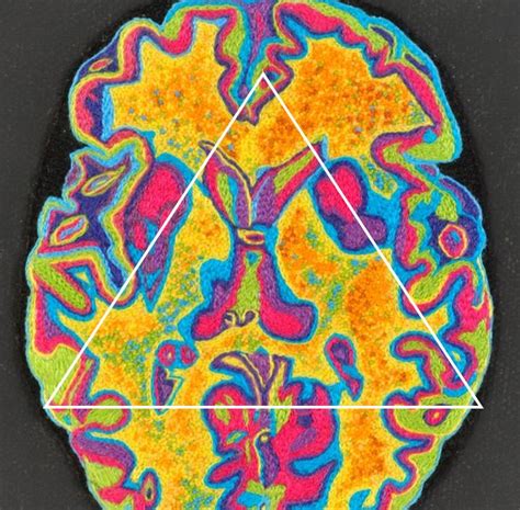 Cognitive Function Ade Health And Nutrition