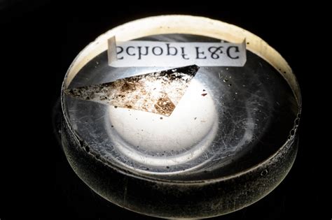 Ancient Microfossils Are 35 Billion Years Old Scientists Say Live Science Ancient Microfossils Are 35 Billion Years Old Scientists Say Live Science