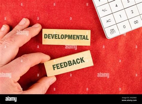 Business Concept Conceptual Phrase Words Text Development Feedback Written On Wooden Bars On