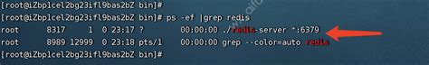 linux安装redis（超级详细） linux 在线安装redis csdn博客