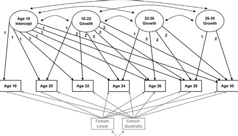 Piece Wise Latent Linear Growth Model With Cohort Polynomials As