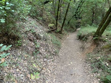 Jones Bar and West Trail Loop - California | AllTrails