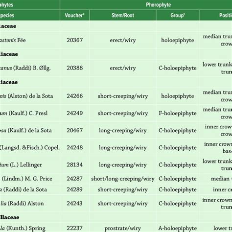 Details Arrows Of Root Colonization Of Epiphytic Lycophytes And Ferns Download Scientific
