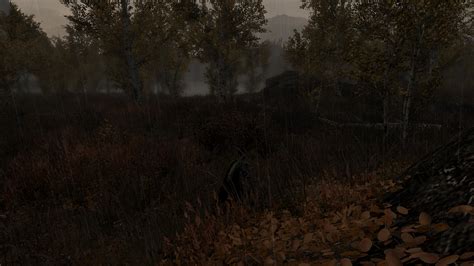 Best Graphic Mods For Skyrim Skyrim General Discussion Loverslab