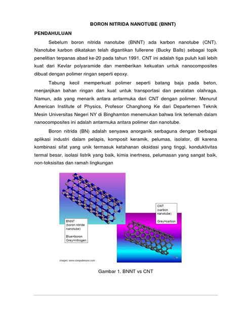 Boron Nitride Nanotube Makalah Pdf