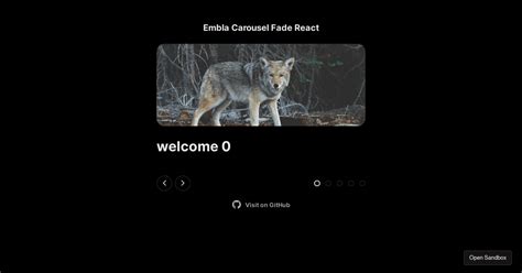 Embla Carousel Fade Examples Codesandbox