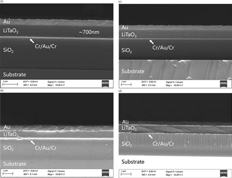 Multilayer Structure Cross Section SEM Images Of CIS Fabricated LT Thin Download Scientific
