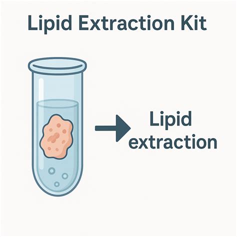 Lipid Extraction Kit A Comprehensive Guide For Accurate And