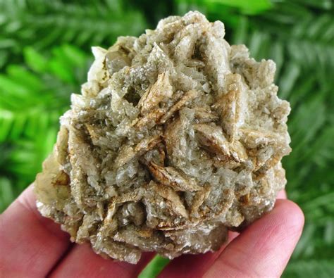 Amazing Calcite Crystallization With Chlorite Raw Crystal Natural Mineral Spirituality