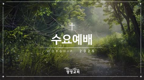 2025년 3월 5일수 수요오전예배 기적이 아닌 하나님을 보라민수기 1131 35 최수훈 목사 Youtube