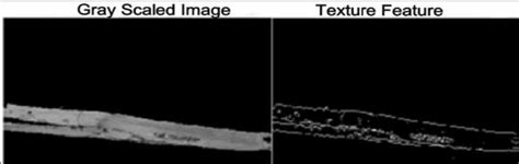 Texture Feature Extraction Download Scientific Diagram