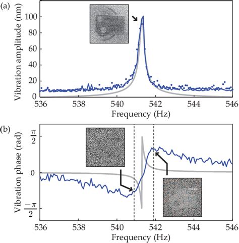 Figure 4 From Phase Sensitive Narrowband Heterodyne Holography Semantic Scholar