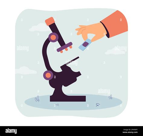 Lab Microscope Diagnosis Biopsy Stock Vector Images Alamy