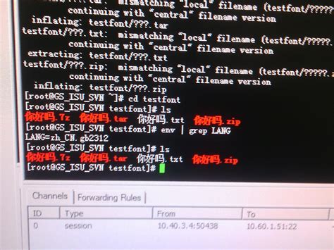 Tips How To View Chinese Font In Linux Environment Webzone All Things Tech Tips Web