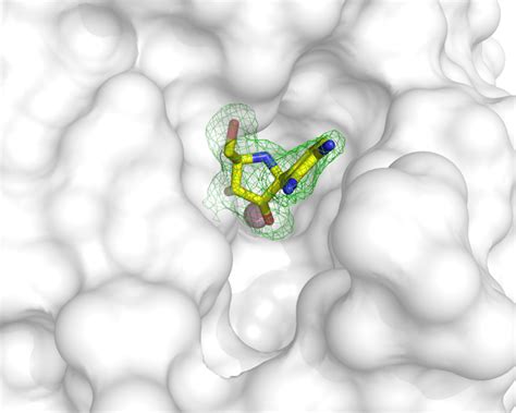 X Ray Crystallography For Sars Cov 2
