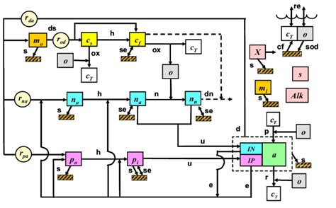 Model Kinetics And Mass Transfer Processes The State Variables Are