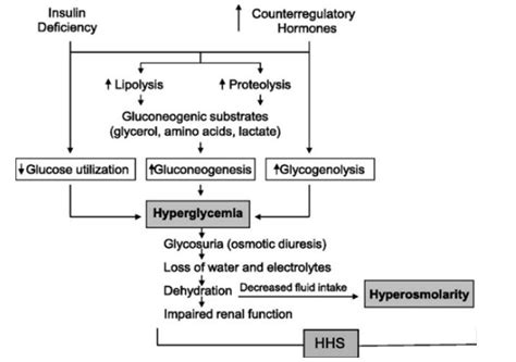 A Case Optimal Treatment Of Hyperosmolar Hyperglycemic State Hhs