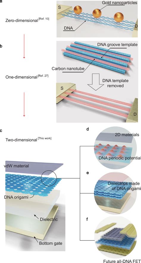 固态范德华异质结构中的软物质诱导有序 Nature Communications X Mol