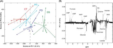 A Pca Scores Plot And B Loading Plot Of The 1h Nmr Spectra Of Mice