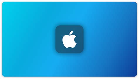 Macos Installation ~ Anythingllm