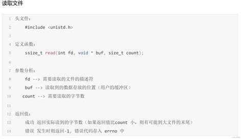 系统io函数接口read接口 Csdn博客