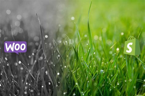 Why Migrate From Woocommerce To Shopify Shopcreatify