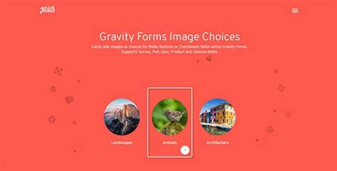 gravity forms image choices v1 6 11