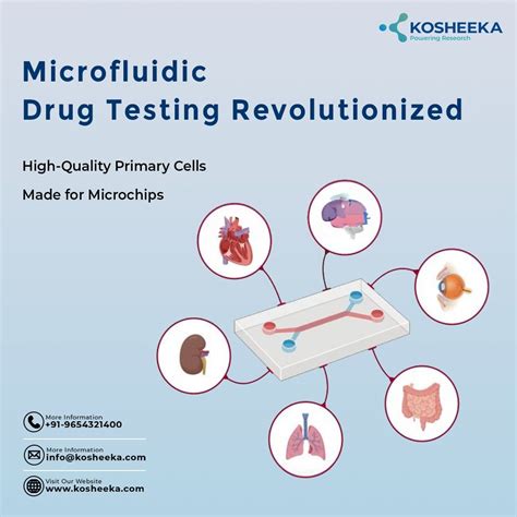Microfluidic Drug Testing Platforms For Primary And Stem Cells