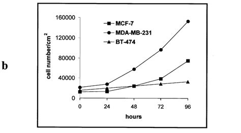 Morphological And Proliferative Properties Of Breast Cancer Derived Download Scientific Diagram