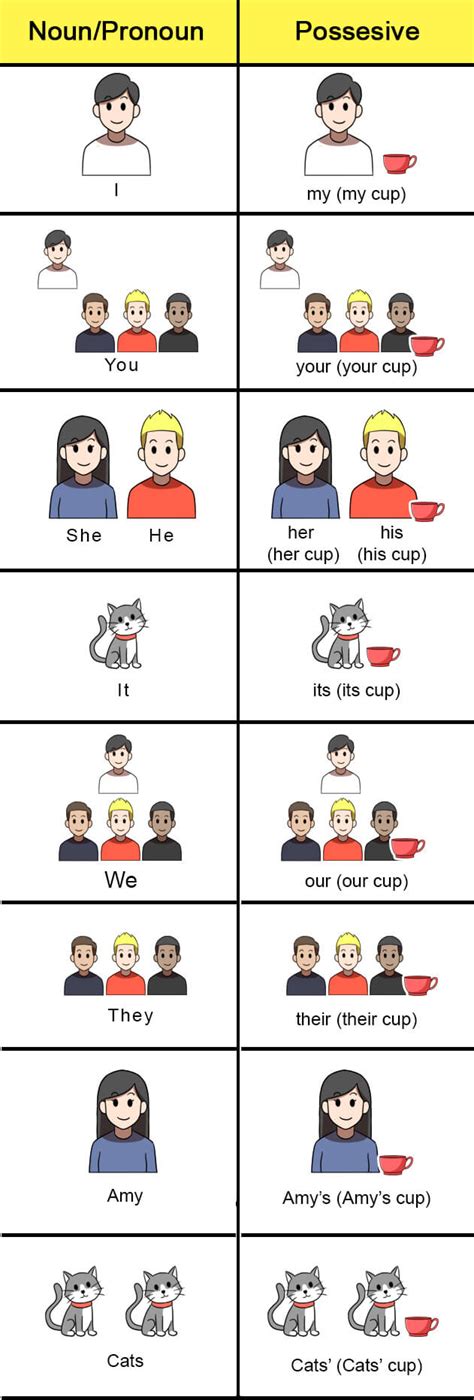 Possessive Adjectives Alula The Ai English Tutor