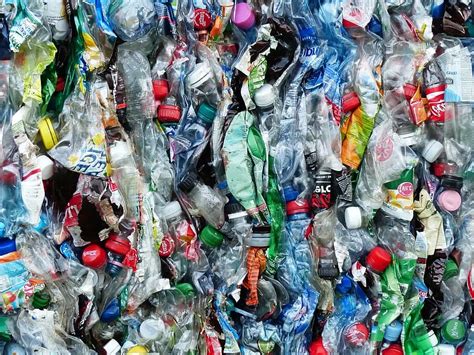 Glass Bottles Recycled Glass Garbage Recycling Waste Bottle Bank