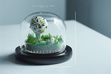 The Fruiting Body ⍺ Growth A Testimony To Biomimicry And