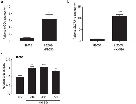 Figures And Data In Activation Of The Nrf2 Antioxidant Program