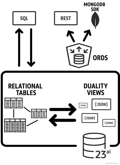 Oracle Database 23ai 正式发布，超级巨兽（集关系型、向量、文档、图、缓存、分布式数据库一体的全能数据库）oracle