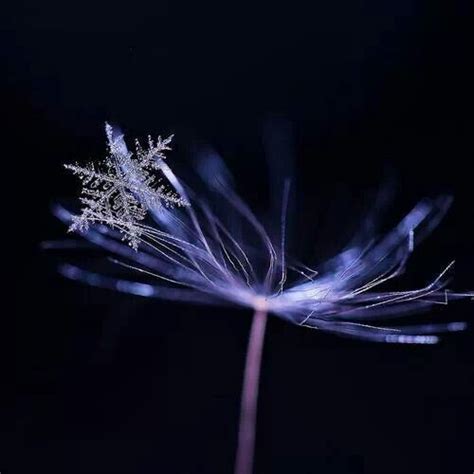 Pin Di Amy Schwalenberg Su Beauty As I See It