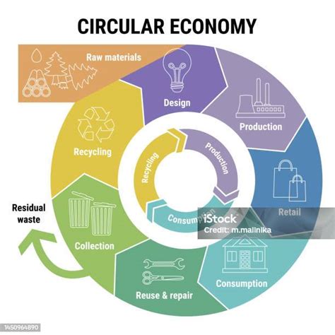 다채로운 다이어그램에 순환 경제 라인 인포그래픽 지속 가능한 비즈니스 모델 원료에서 생산 사용 재활용에 이르기까지 제품 수명주기의 계획 플랫 라인 벡터 그림 순환 경제에
