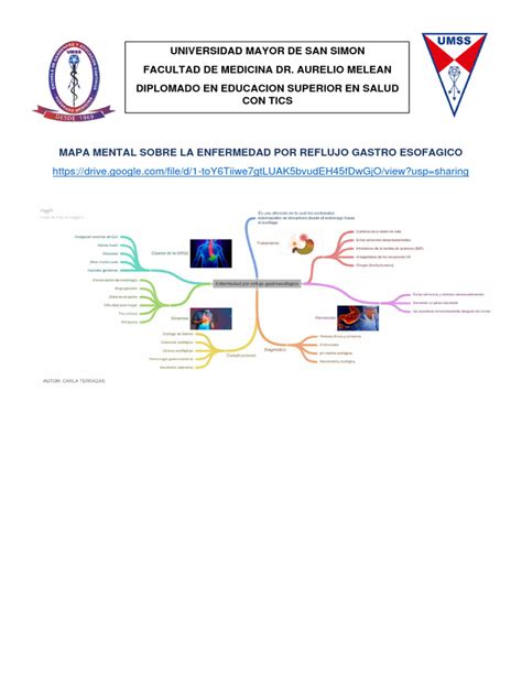 Mapa Mental Sobre La Enfermedad Por Reflujo Gastro Esofagico Pdf