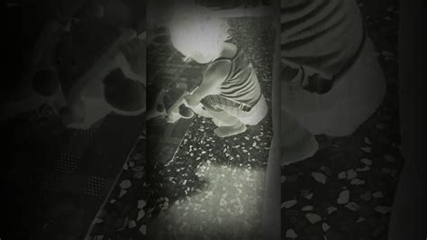 ناني ولما Youtube